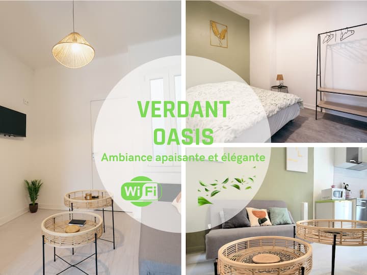 Verdant Oasis -T2-proche Du Centre-wifi-parking - Lourdes