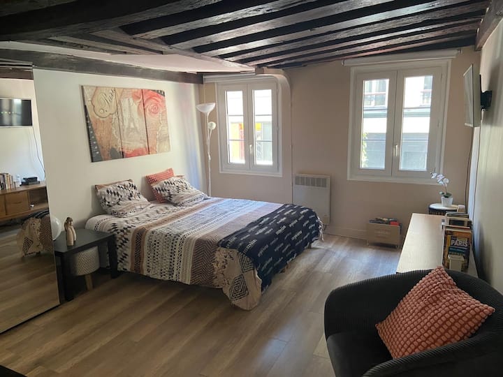 Splendid Studio At Latin Quarter (1 Month Minimum) - Paris
