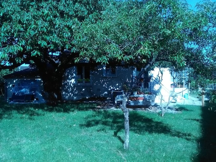 Zoo Parc De Beauval à 10min - Noyers-sur-Cher