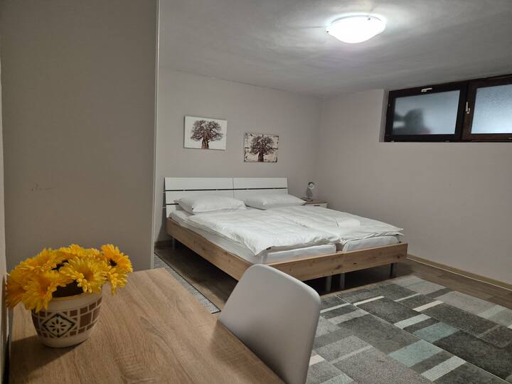 Panorama & Bella Vista | Double Room (2) - Bled