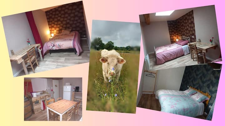 Chambre Paysanne En Famille - La Roche-sur-Yon