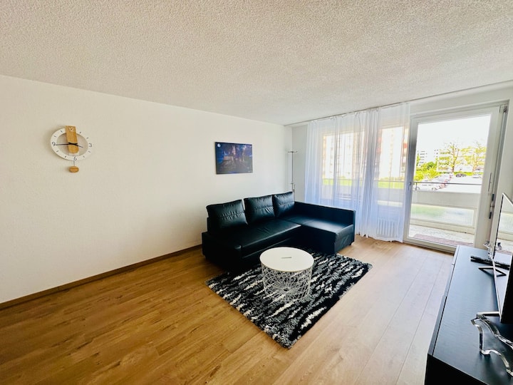 Furnished Apartment - Rheinfelden (Baden)