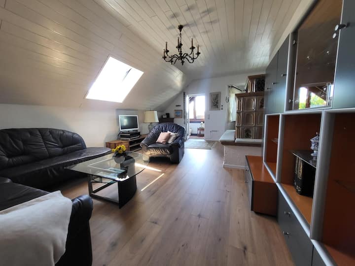 Geräumige 3,5 Zimmer Dachwohnung Mit Kachelofen - Dieburg