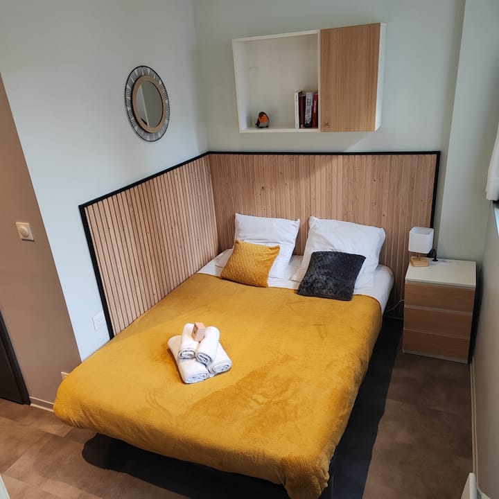 Studio Rénové / ÉQuipé - Nancy Chru/cesi/fac (74) - Villers-lès-Nancy