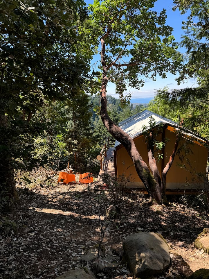 Tent 01 - Cosy Forest W/ Ocean View - California