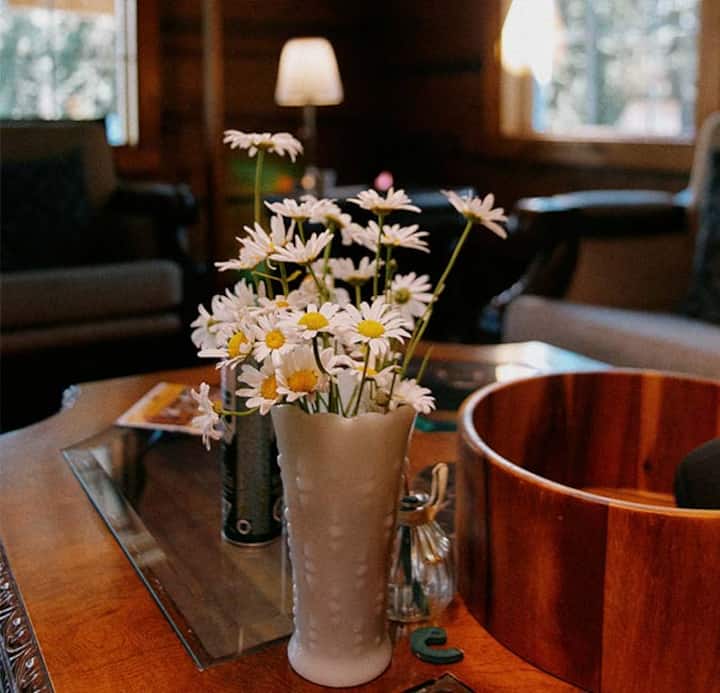 Rustic Beaverfoot Lodge Room N11 - Field