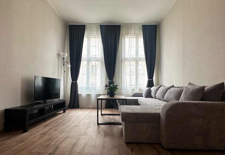 Spacious Historic 3-bedroom Apt With 65" Tv - Tallinn