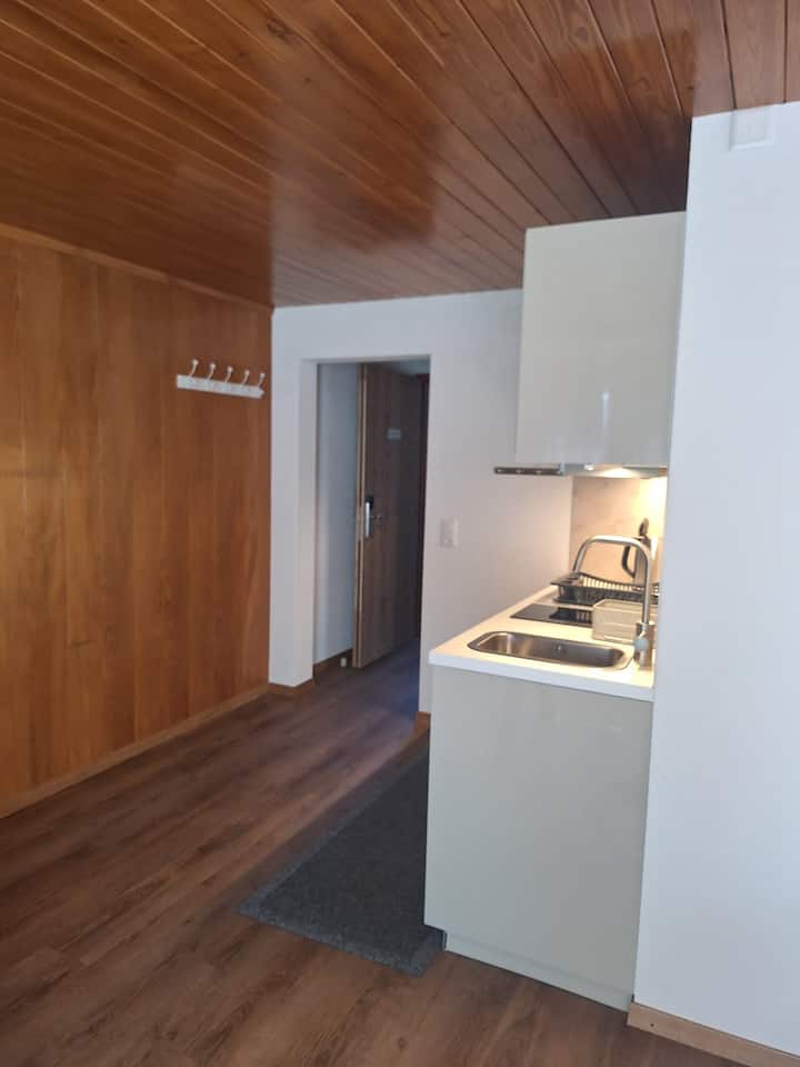 Edelweiss Appartement - Seesicht - Brienz