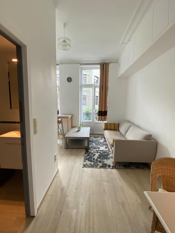 Apartment Living + 1 Bedroom @St-gilles - Brussels Region