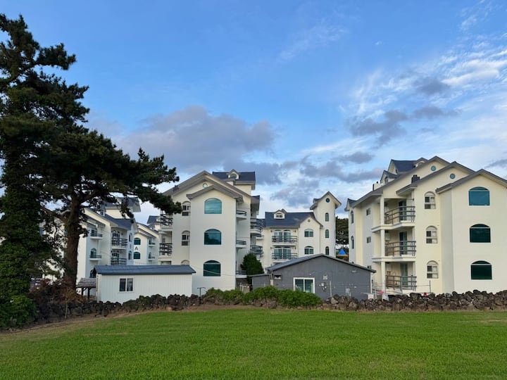 B동3층단체 - Jeju-si