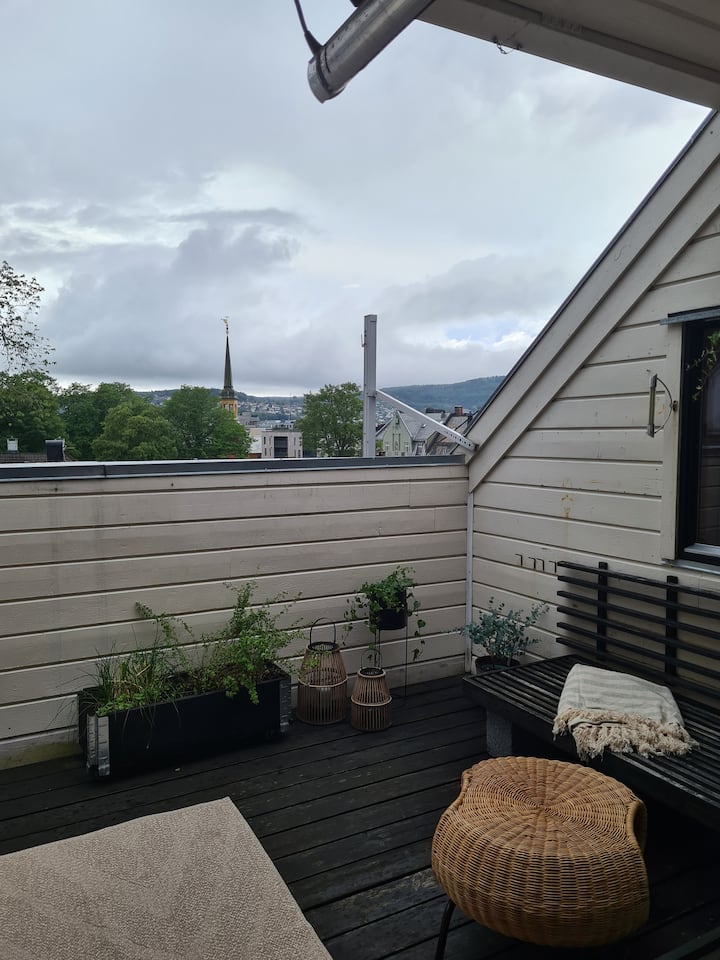 Leilighet Med Egen Takterasse - Trondheim