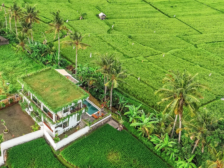 Hanging Gardens Of Ubud, Rice Field Views + Butler - Australia