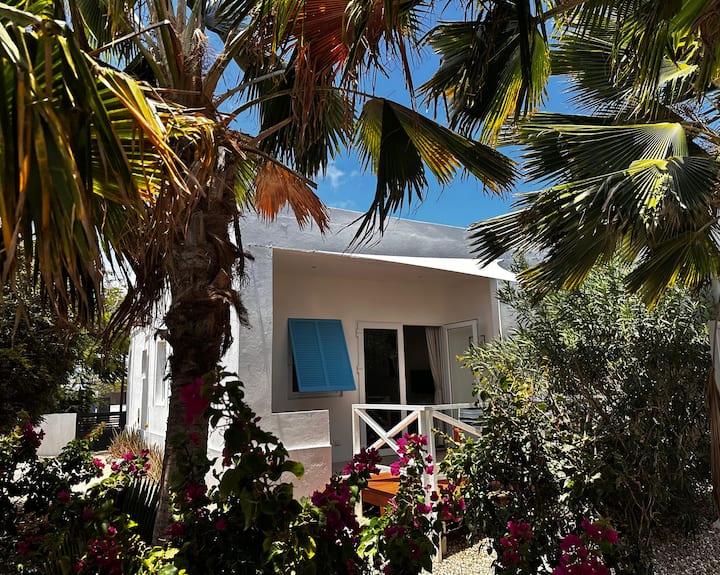 The Rocks Residence, Apartment - 荷屬阿魯巴