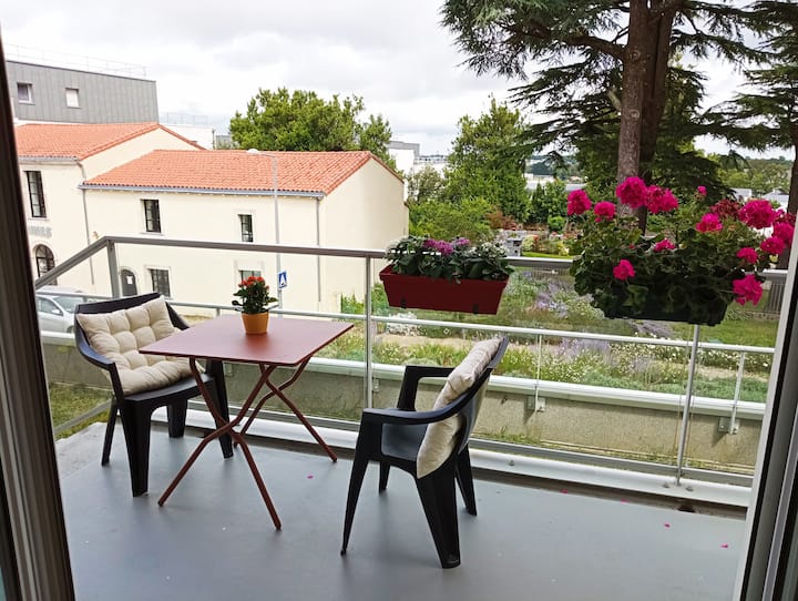 Appartement Centre-ville Vertou - Vertou