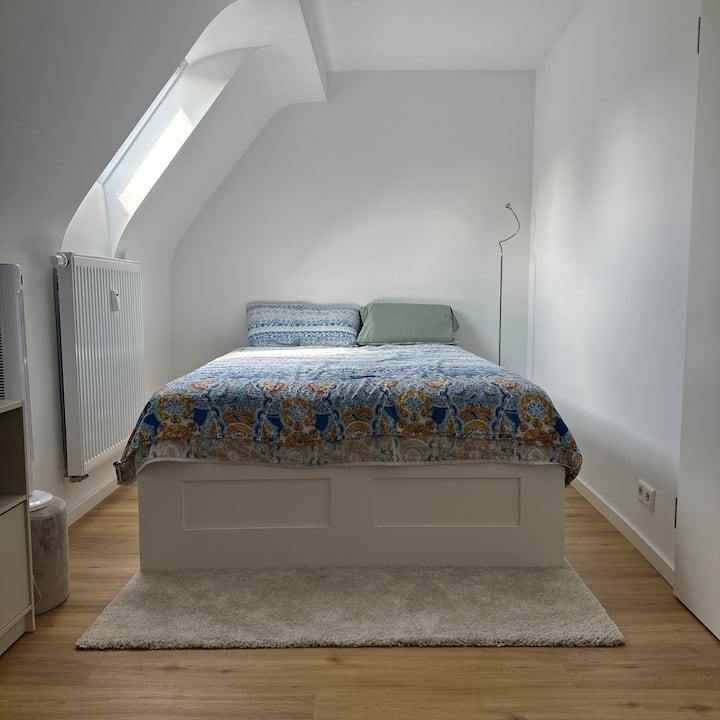 Renovierte Münsterblick Wohnung Zentrum Freiburg - Fribourg-en-Brisgau