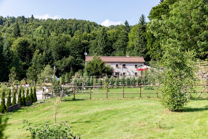 Un Sogno Nel Bosco - Asiago