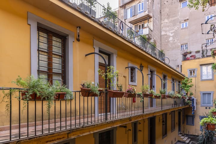 Domus Romano Piazza Farnese - Roma