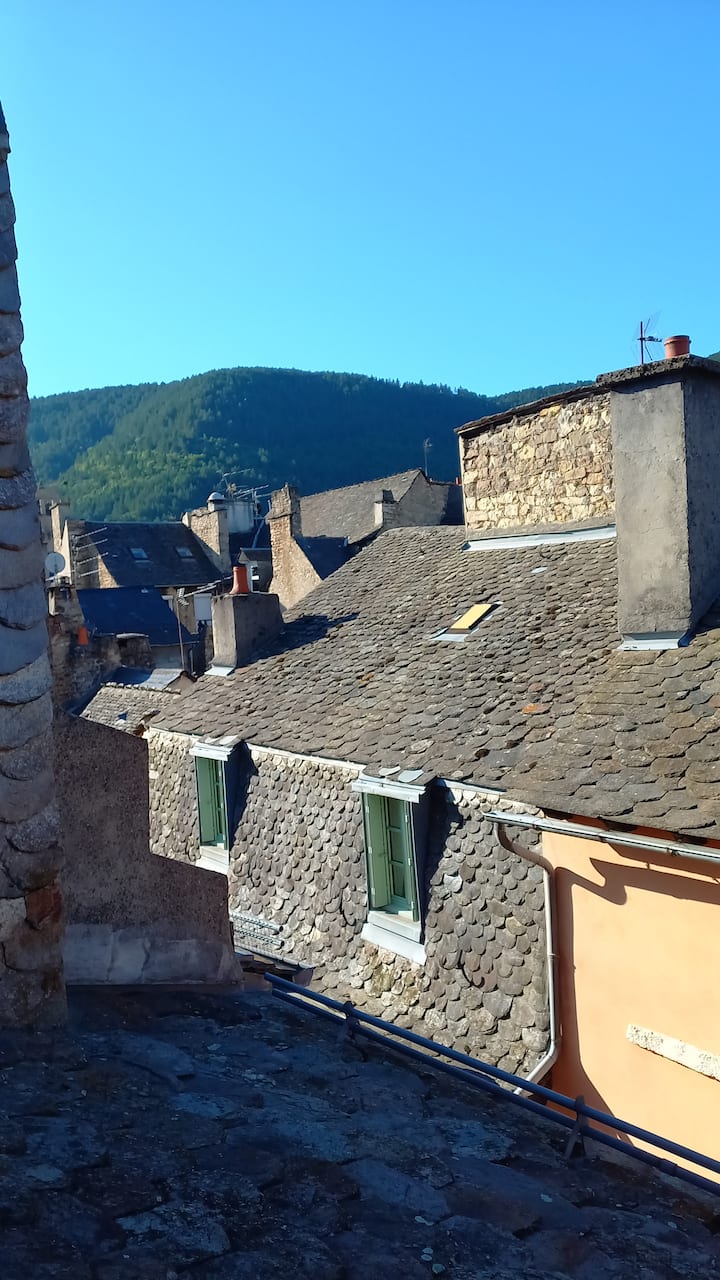 Chambre Familiale 2 à 5 Personnes - Mende