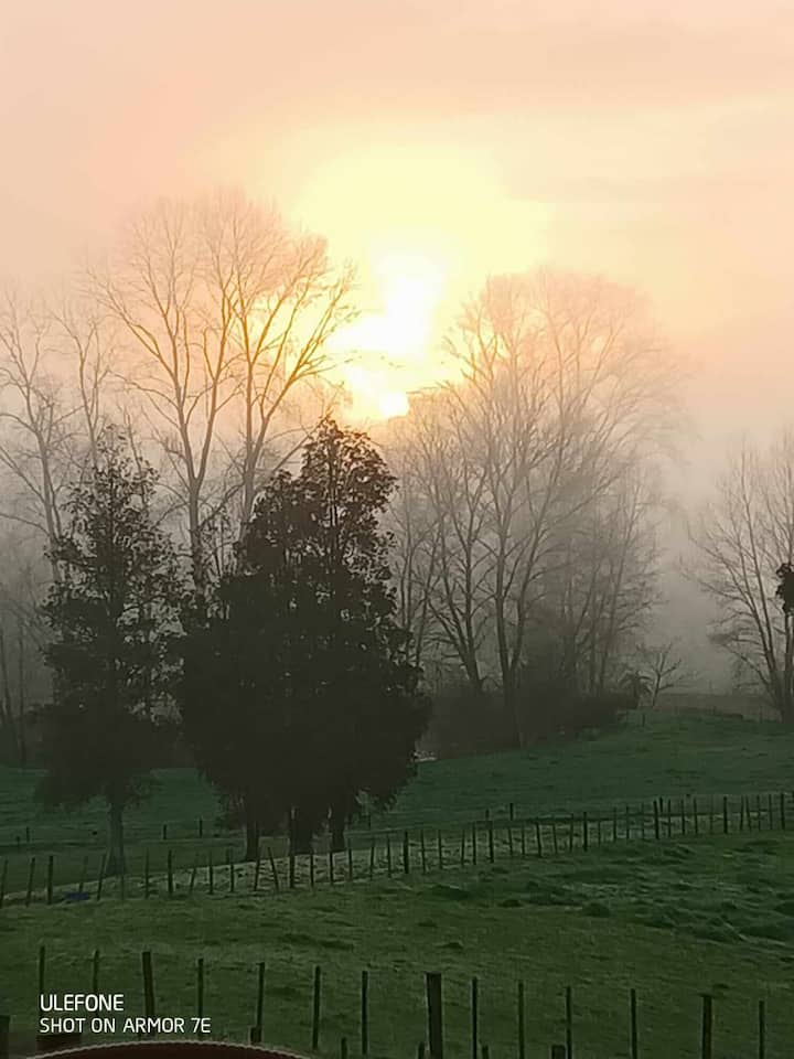 Waitomo Equine Homestay - Te Kuiti