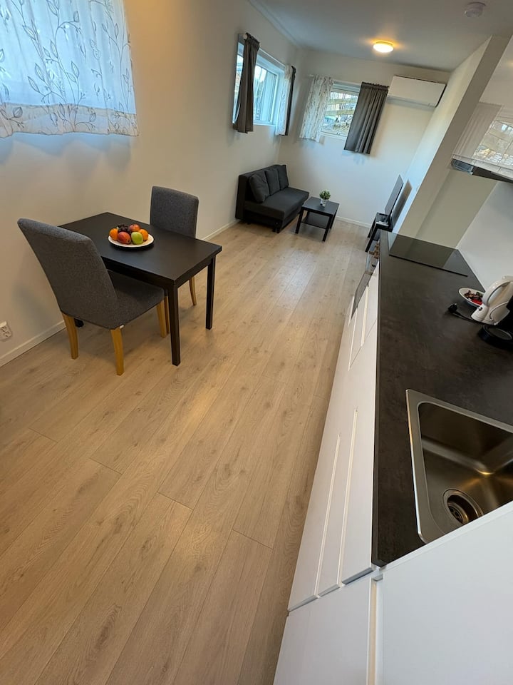 Temis Apartment-privat New 1 Bedroom With Sofabed - Oslo