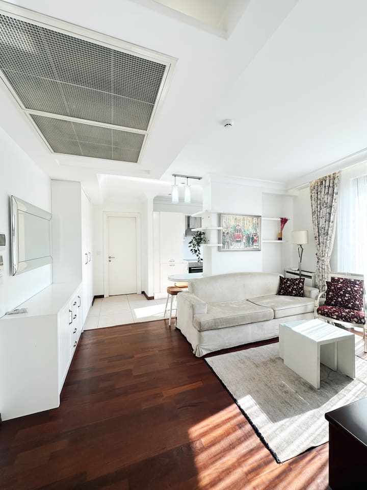 Modern 1+1 Flat At The Center - Cihangir