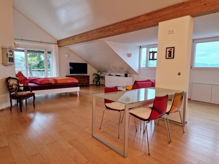 Irene's Guesthouse 2 - Canton de Soleure