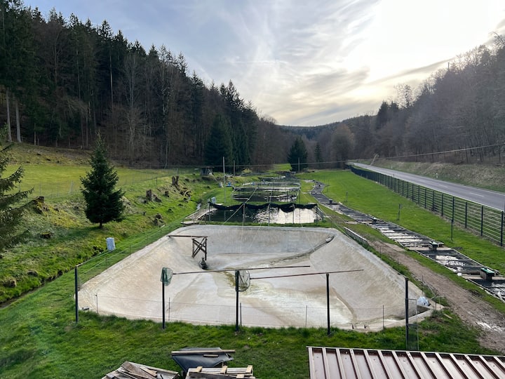 Wohnung Forellenzucht Regelsmühle: Saibling - Hersbruck