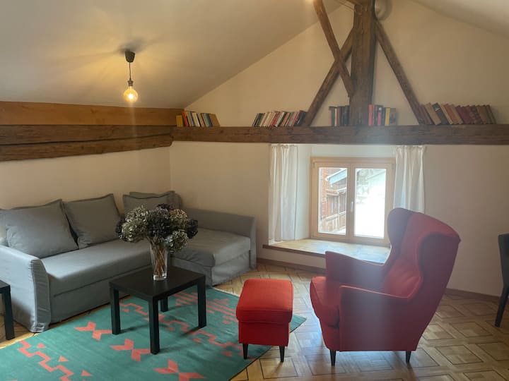 Ferienwohnung Aldier Sent/scuol - Scuol