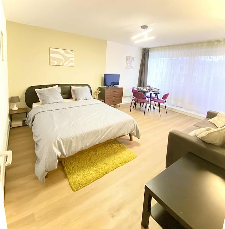 Charmant Studio 4p Rénové · Hyper-centre - Lille