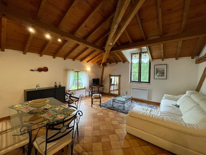 Gîtes De Ruffié: Barguillère - Foix