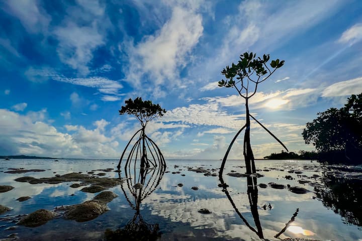 Grand Sale! /  Walk To Kannon Beach / 17pax, 4br - Ishigaki