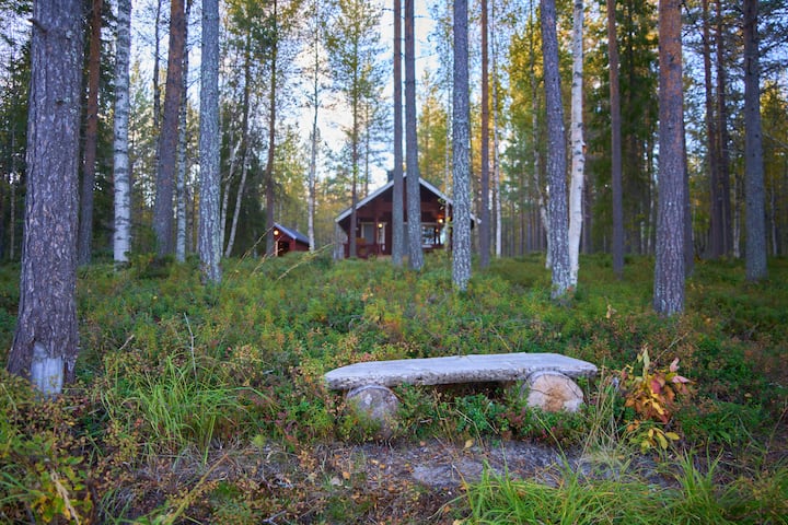 Naruskajoen Luonnonrauhaa - Lapland