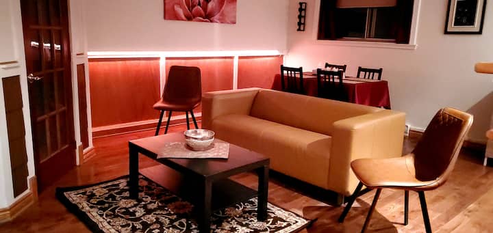 Cozy Two Bedrooms Apartment - Montreal