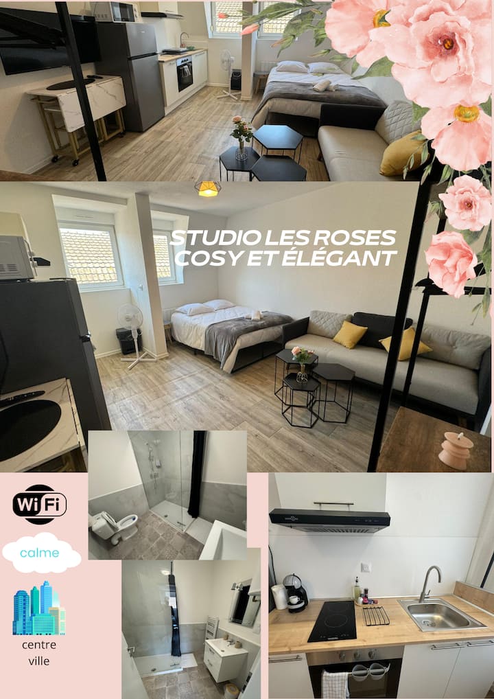 Le Studio « Les Roses »
Cosy Et Confortable - ibis Mulhouse Ile Napoleon