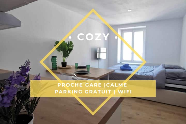 Le Nid Cozy à 2 Pas De La Gare St-dié - Sainte-Marguerite