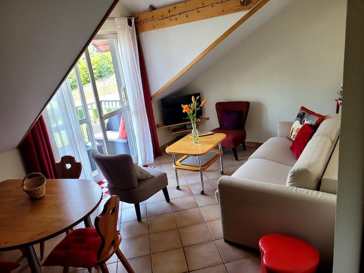 Appartement 4 Saisons Saint Gervais-les Bains- - Servoz
