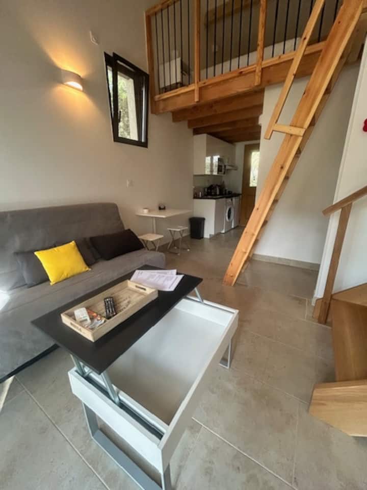 Appartement 31m2 - Bellegarde