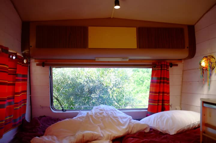 Caravane Solitaire Et Oliviers - Forcalquier