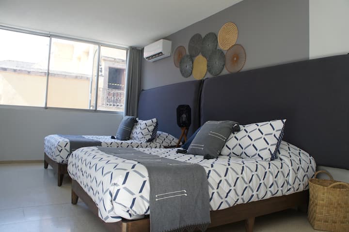 Centro Histórico Hermoso Dpto. 105 - San Luis Potosí