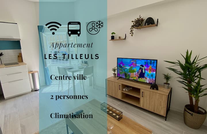076 - Les Tilleuls - Studio, Wifi, Clim, Central - Nîmes