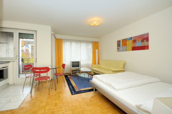 Nice Studio In The City Center (Vineyard 22) - Zürich