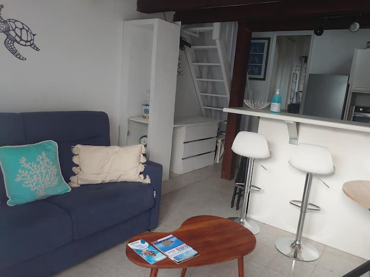 Studio Agde à 5 Mn De La Mer - Vias