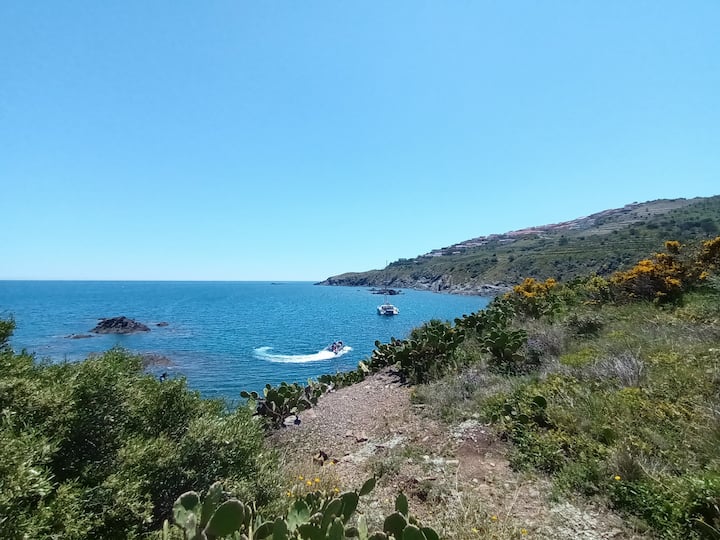 T2 Vue Mer, Clim, Piscine. A202 - Cerbère