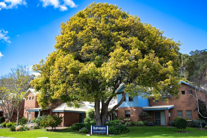 10 Balneaire Beachside - Albany