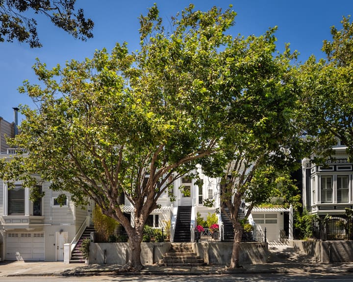 House Of Light - San Francisco, CA