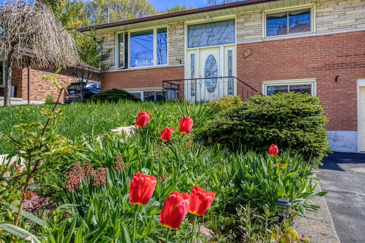 Bright & Modern 1 Bedroom Unit! - Guelph