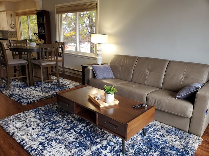 Stylish Urban Escape. Minutes To Downtown St. Paul - Saint Paul, MN