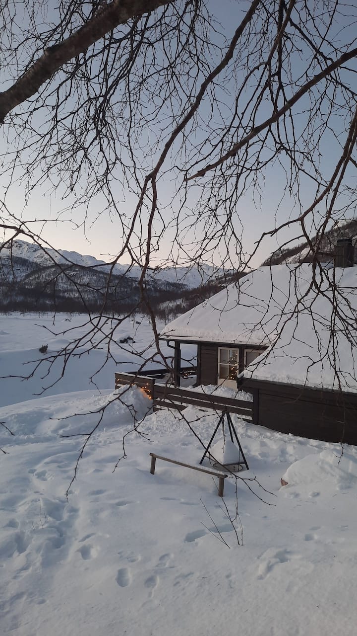 Fjellhytte I Stille Område - Norway