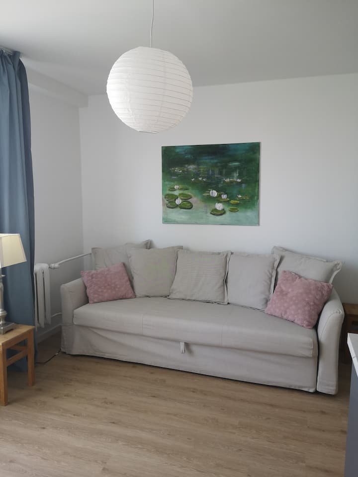 Comfy Little Apartment - Varsavia