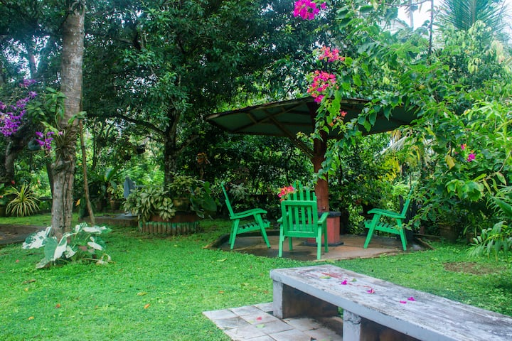 Home Peacock - Mirissa